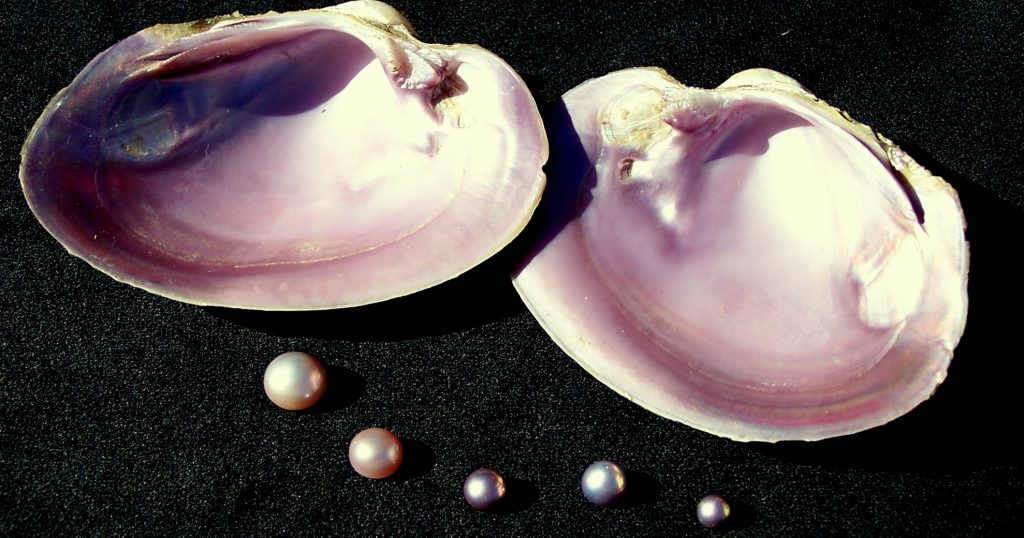 CONCHO PEARLS – Holland's Jewelry